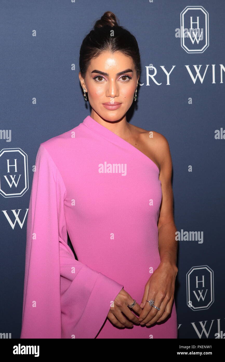 Exclusive unveiling of 'New York Collection by Harry Winston' Featuring ...
