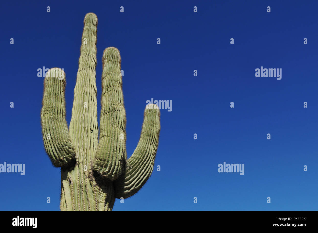 Iconic symbol hi-res stock photography and images - Alamy