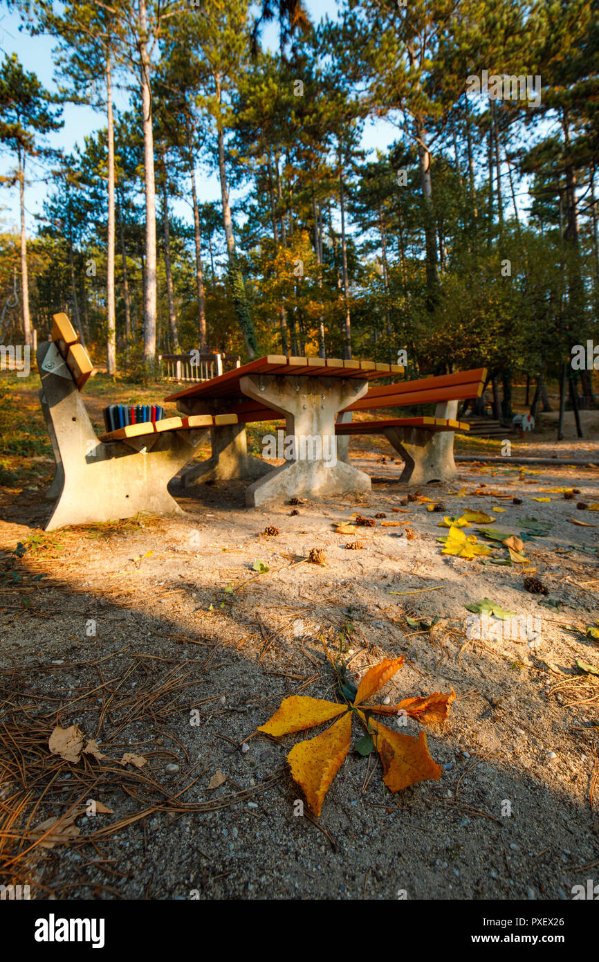 Beautiful autumn park. Autumn trees and leaves. Autumn Landscape, Park ...