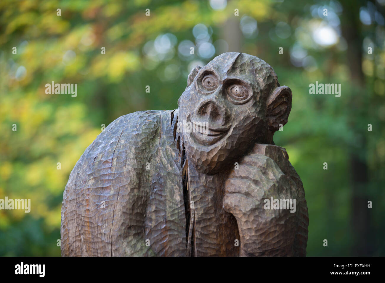 Forest troll hi-res stock photography and images - Alamy