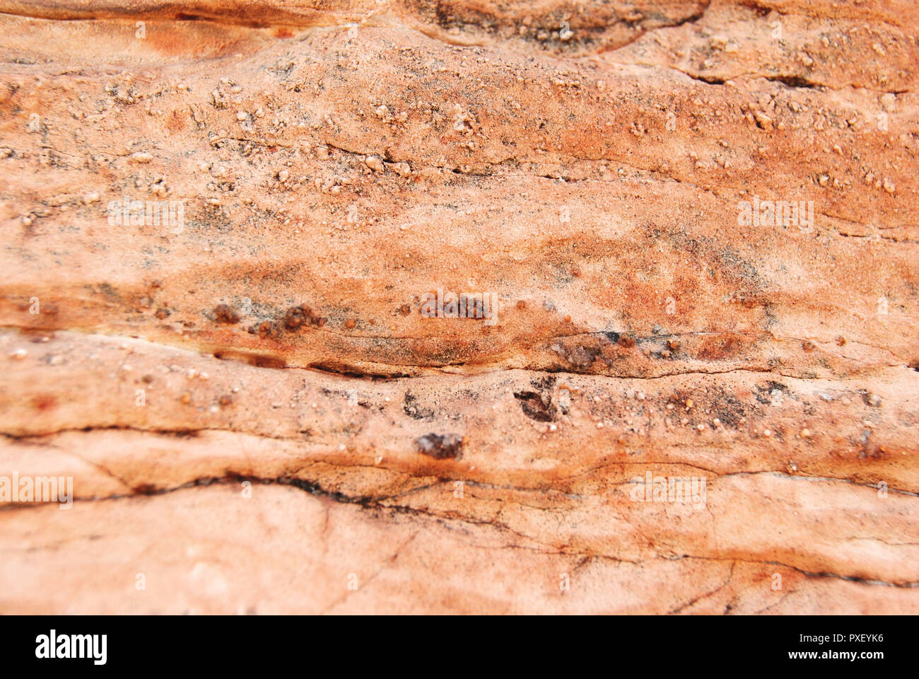 Light neutral red orange hi-res stock photography and images - Alamy