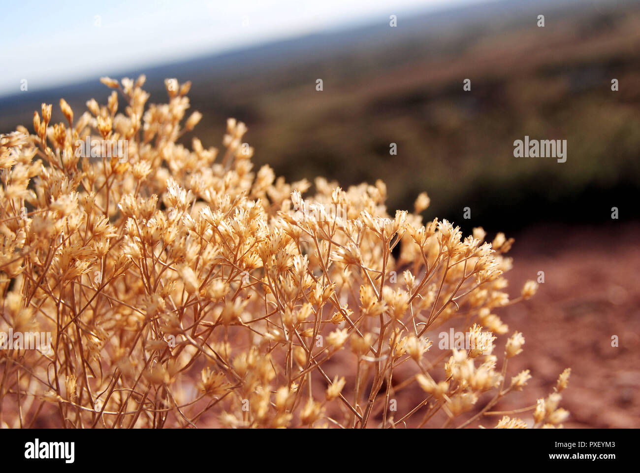 Vermillion color hi-res stock photography and images - Alamy