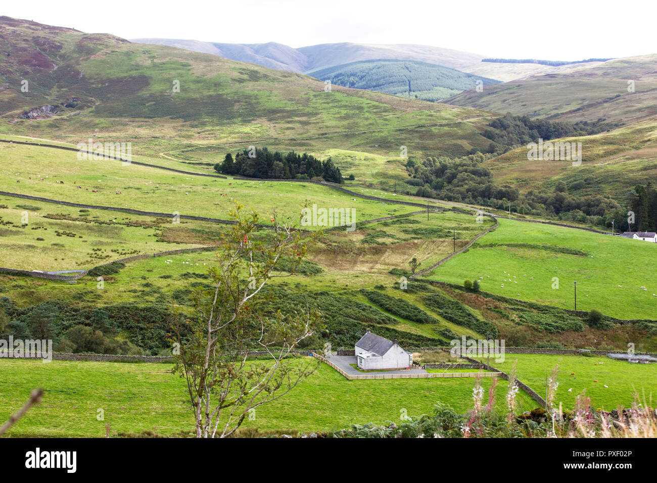 Uplands farm hi-res stock photography and images - Alamy