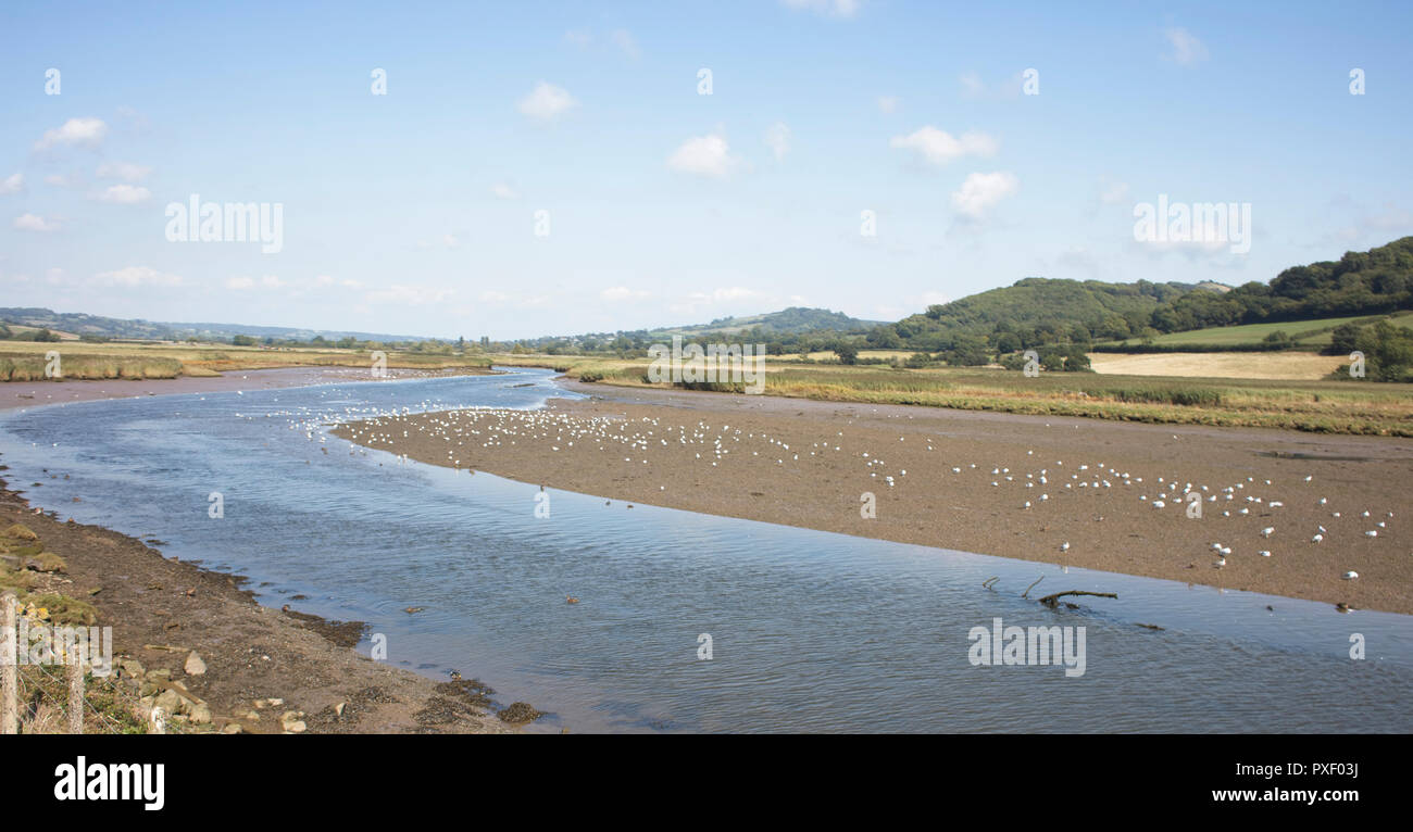 Sea tide in estuary uk hi-res stock photography and images - Alamy