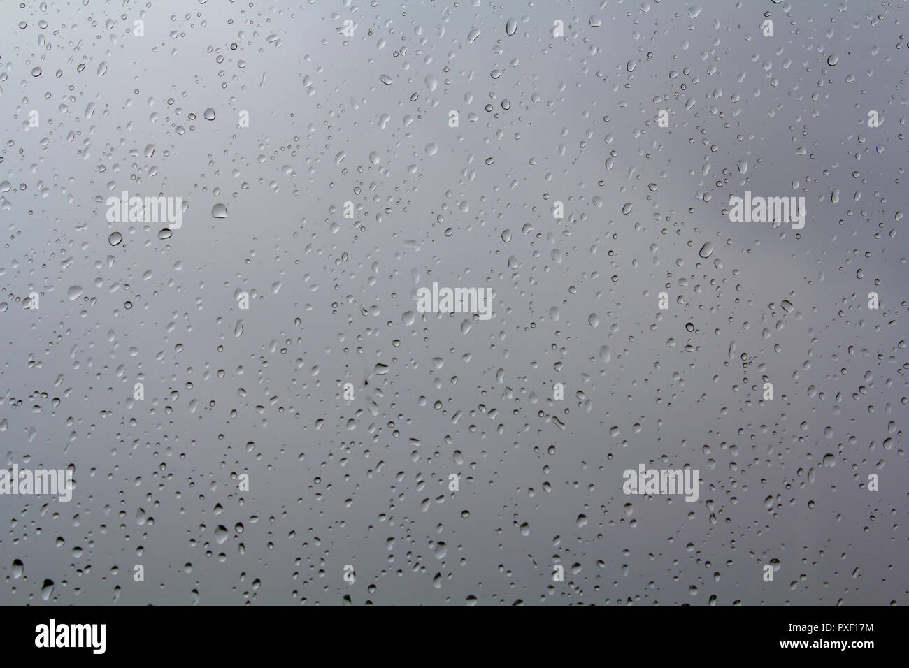 Raindrops on the window Stock Photo - Alamy