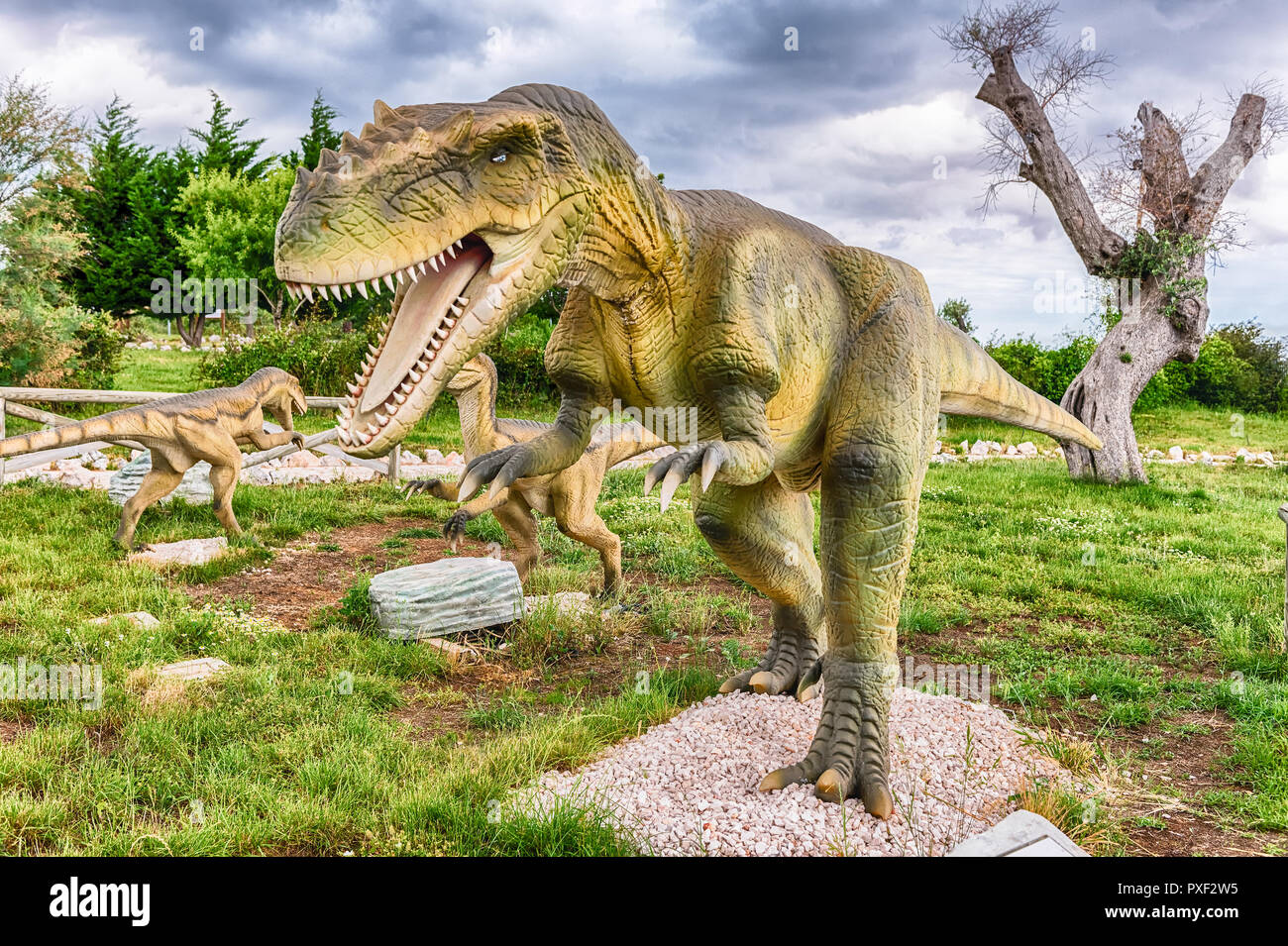 SAN MARCO IN LAMIS, ITALY - JUNE 9: Carcharodontosaurus dinosaur ...