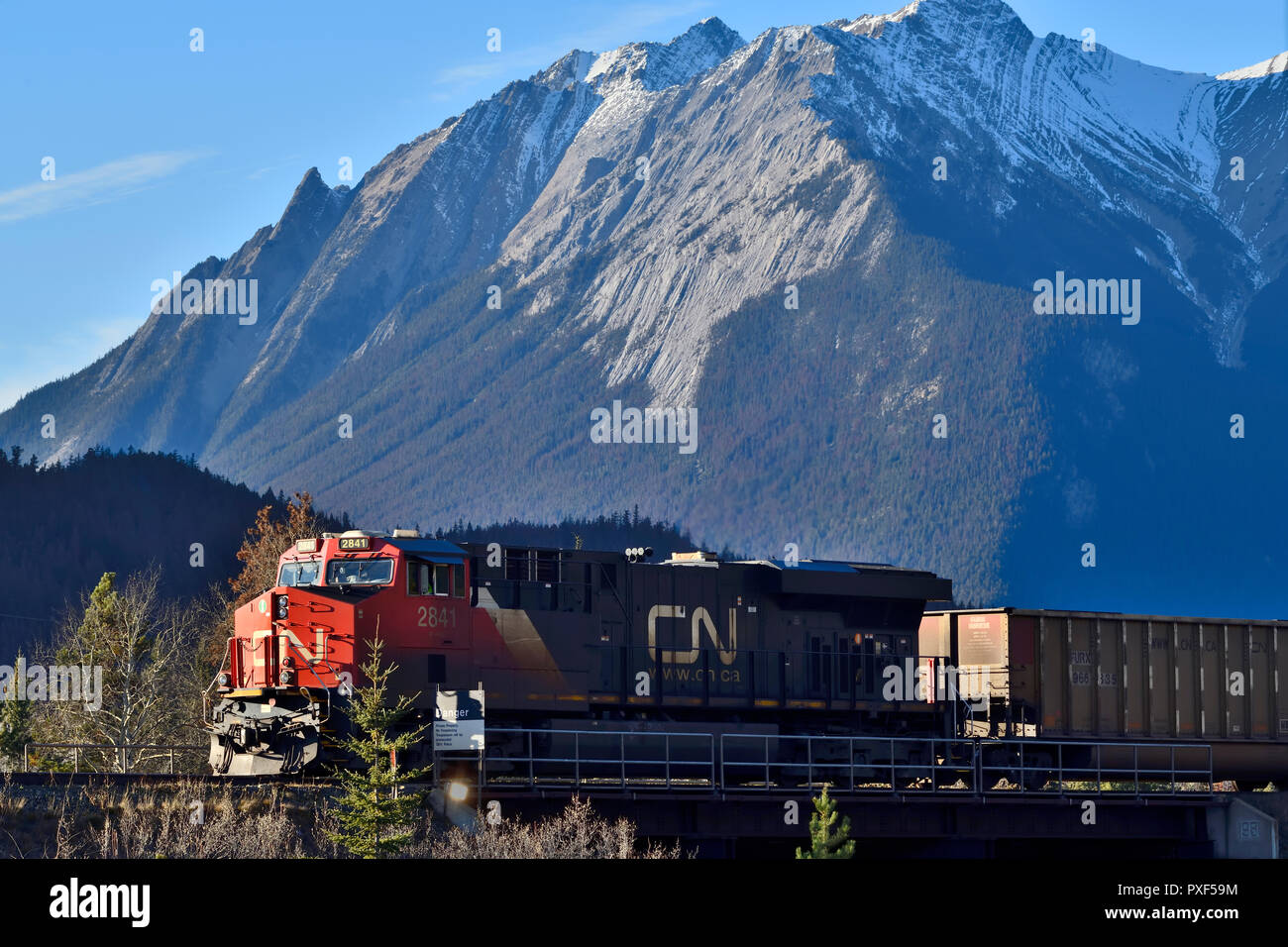 A Canadian National freight train crossing a steel bridge in Jasper ...