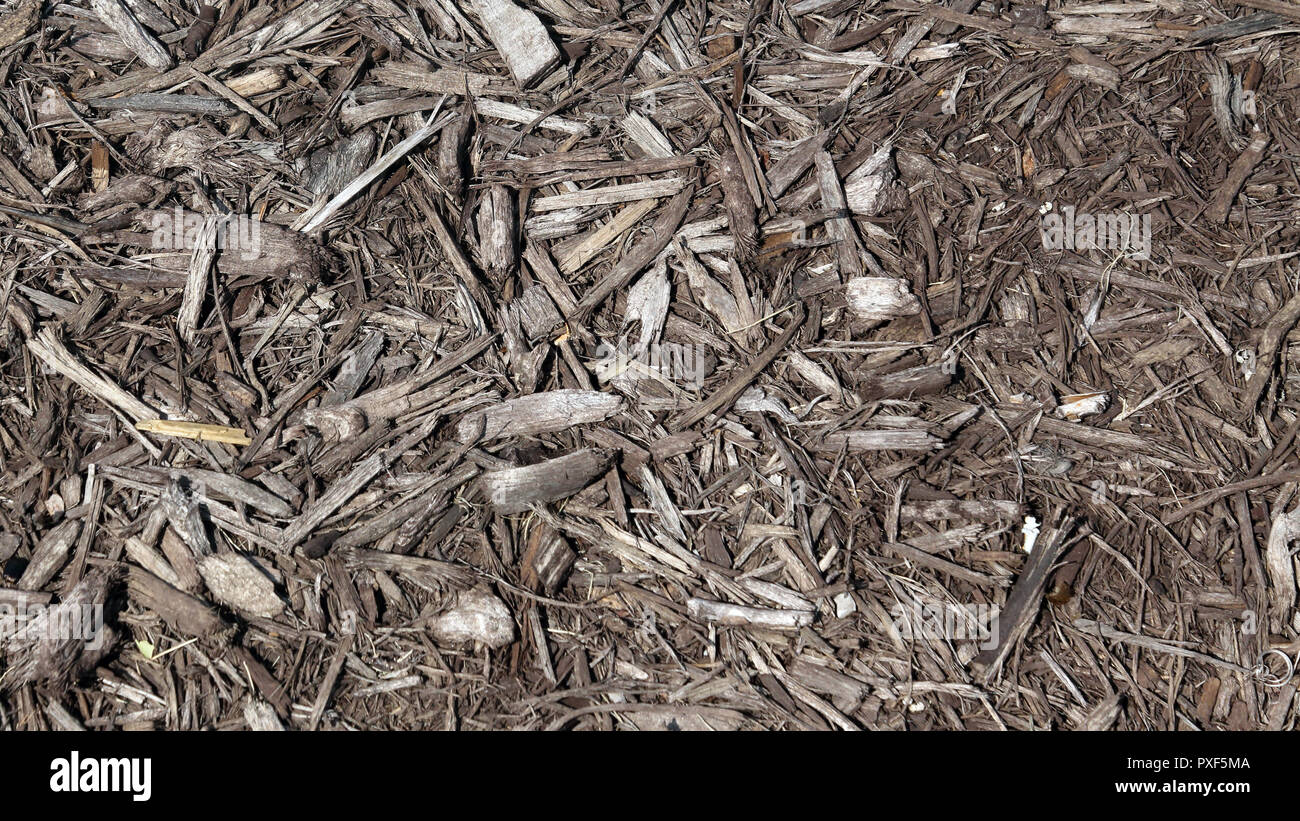 Shades of brown texture hi-res stock photography and images - Alamy
