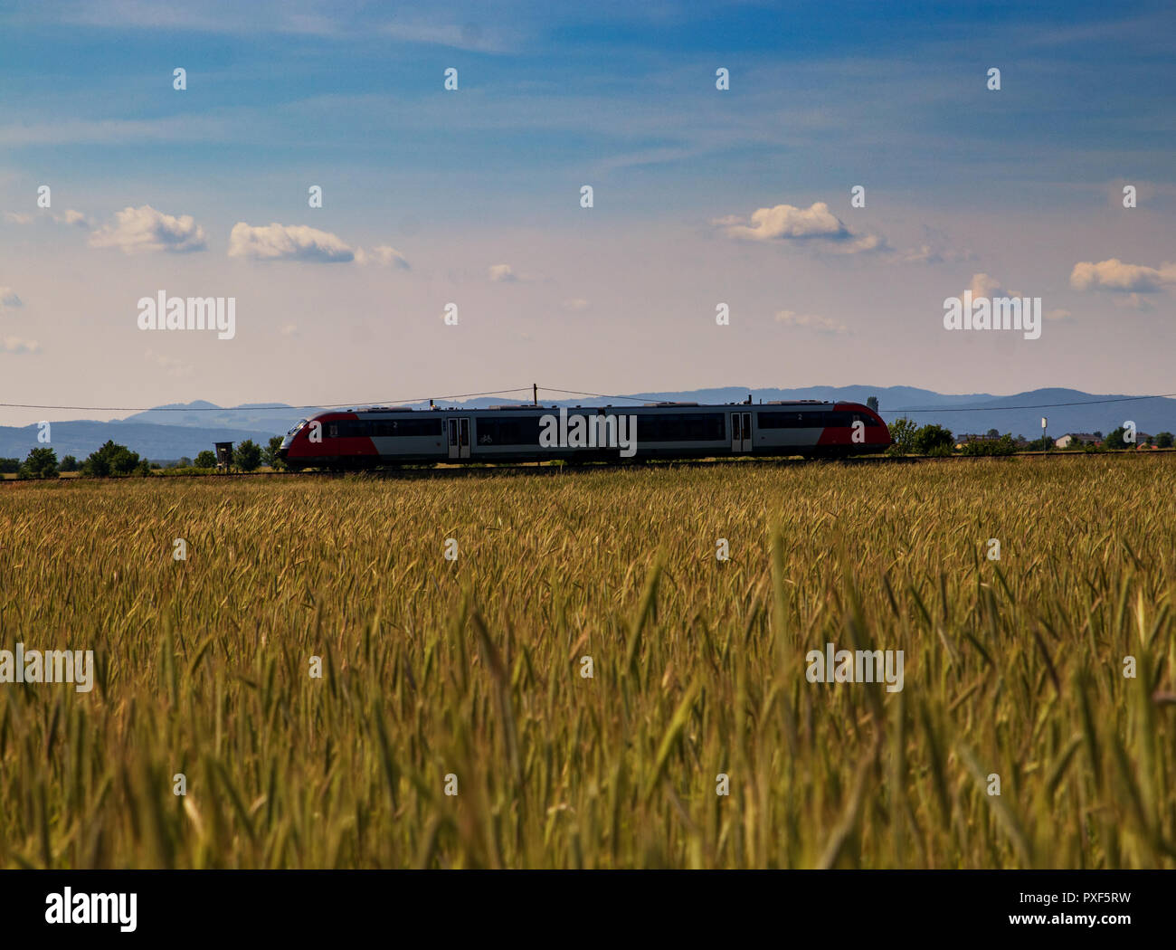 Running through corn field hi-res stock photography and images - Alamy