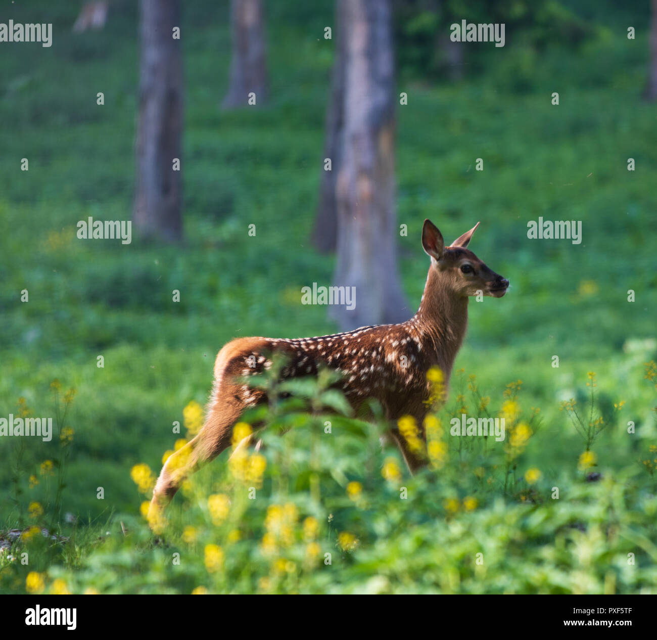 Stand in fallow field hi-res stock photography and images - Alamy