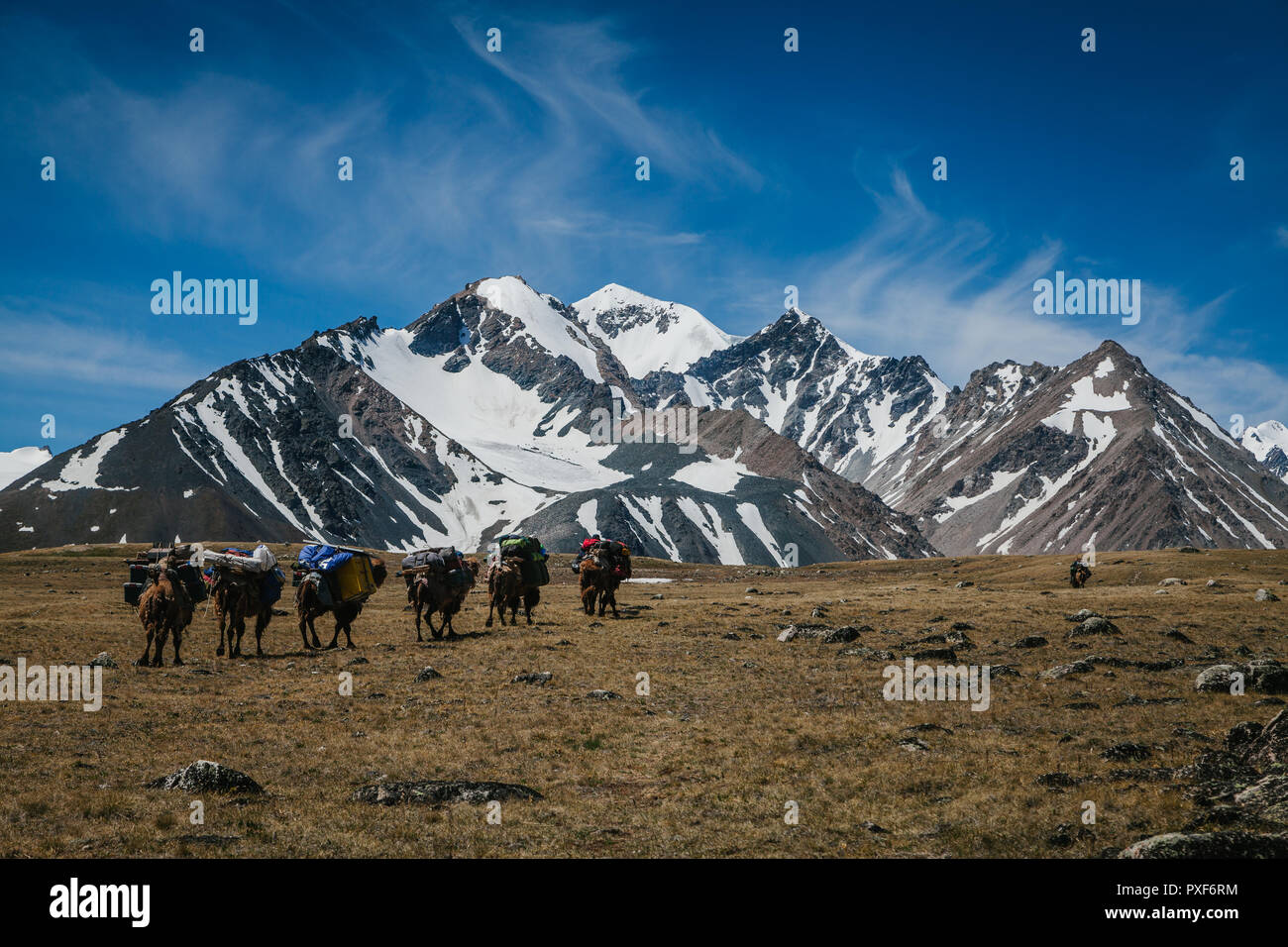 Central asia landscape hi-res stock photography and images - Alamy