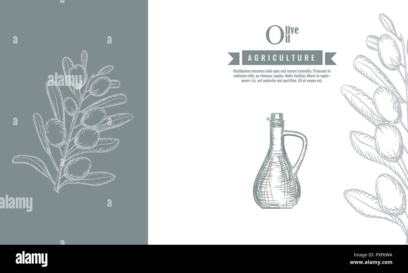 Olive branches and bottle banner template and poster with sketch style ...