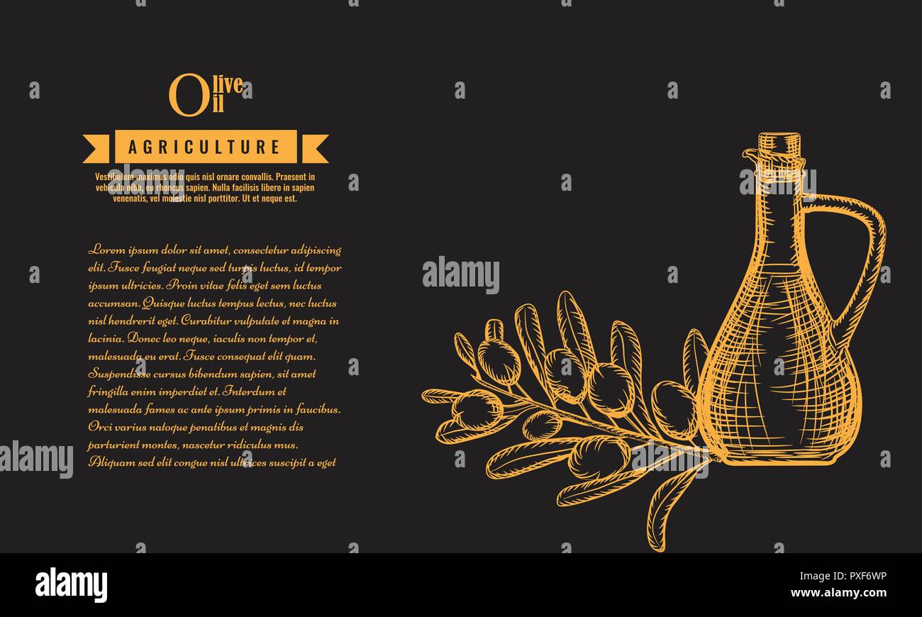 Olive branches and bottle banner template and poster with sketch style ...