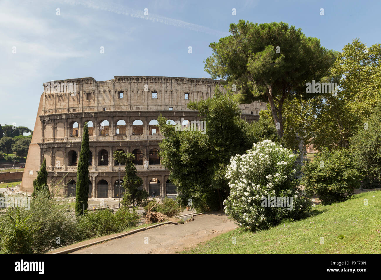 Trees In Rome High Resolution Stock Photography and Images - Alamy