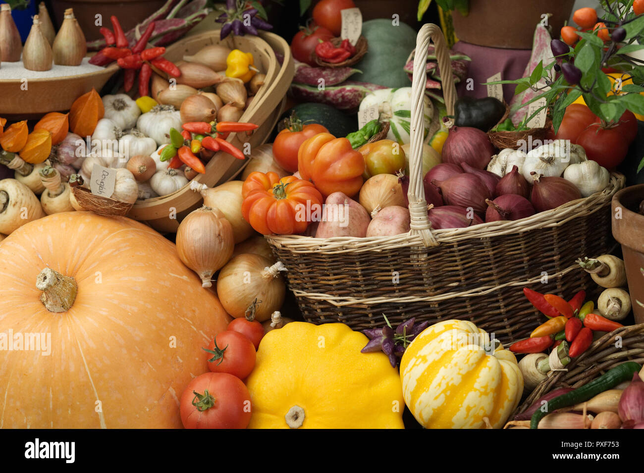 harvested vegetable box Stock Photo - Alamy