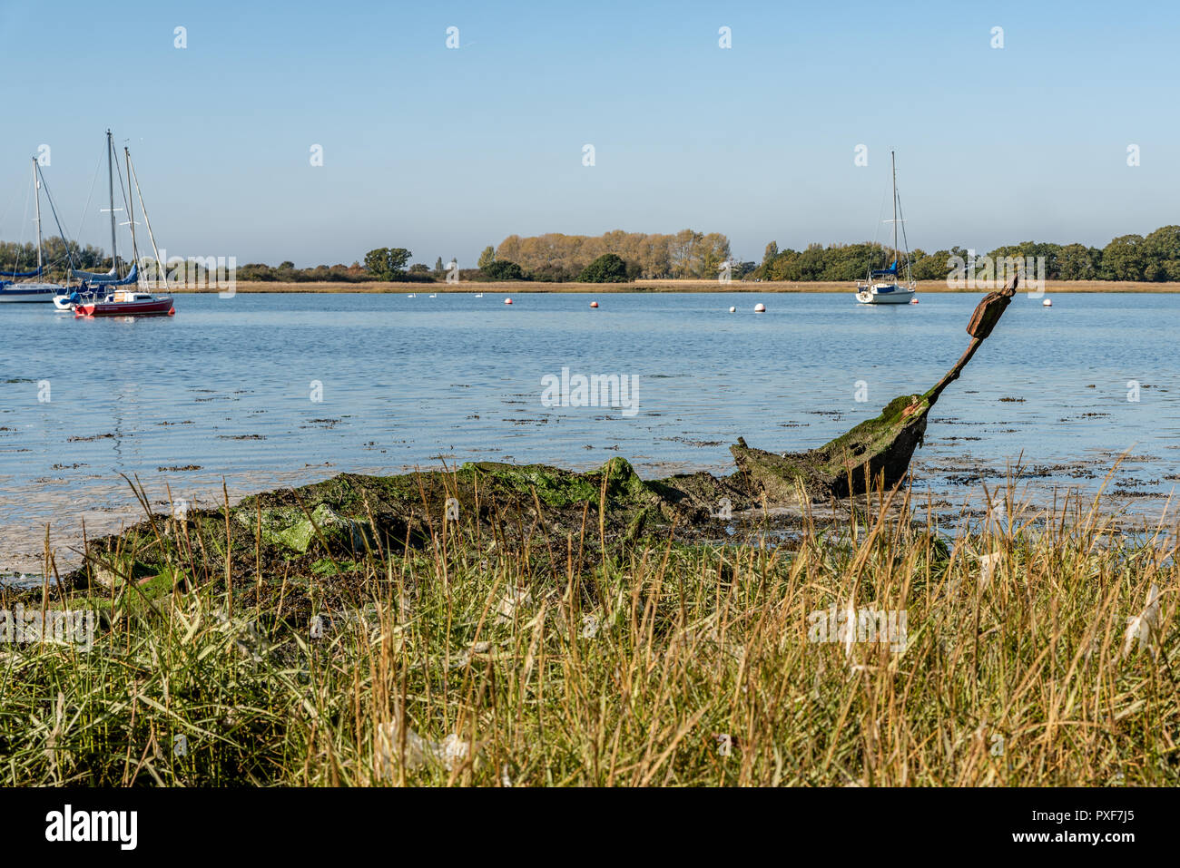 The remains of an old vessel on the shoreline of Chichester Harbour ...
