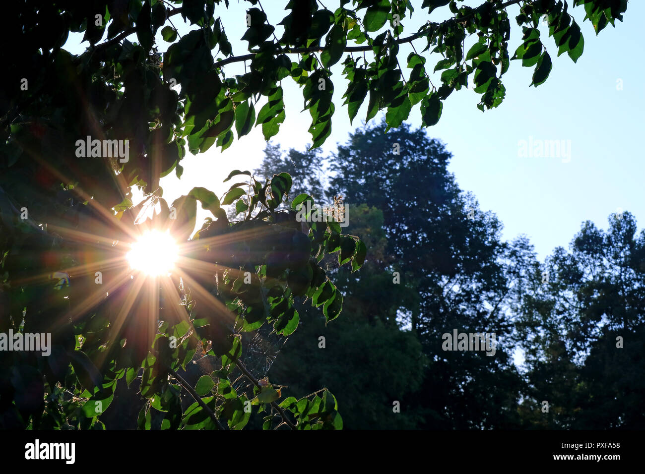 Dazzling sunshine hi-res stock photography and images - Alamy