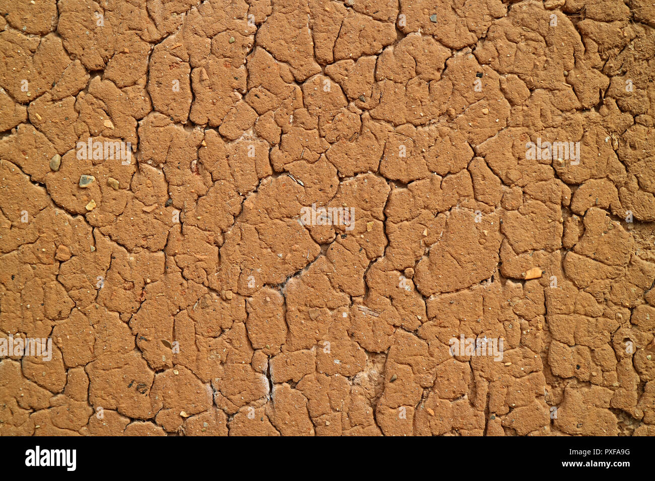Texture of the Orange Brown Color Rustic Soil Wall in Northern Peru for ...