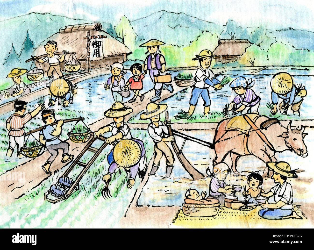 The planting of rice illustration hi-res stock photography and images ...