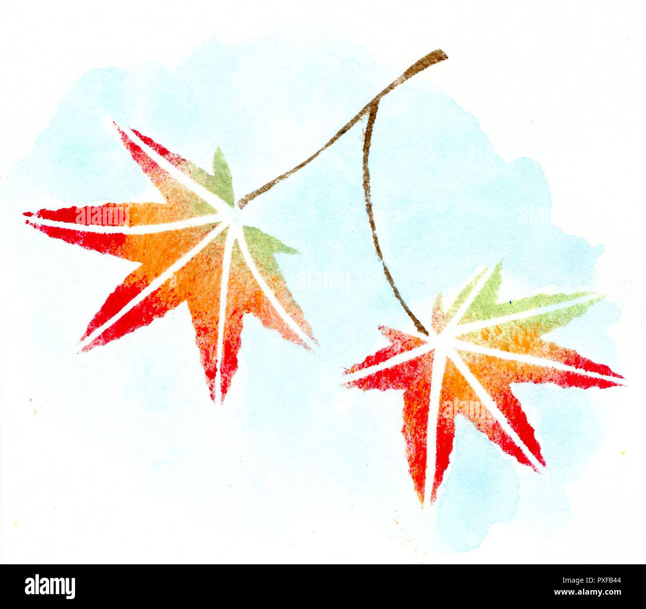 Japanese maple art Cut Out Stock Images & Pictures - Alamy