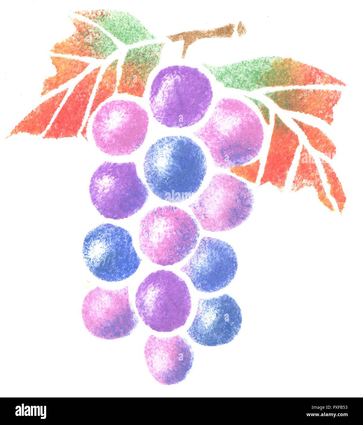 Stenciled Stylized Grapes Stock Photo - Alamy
