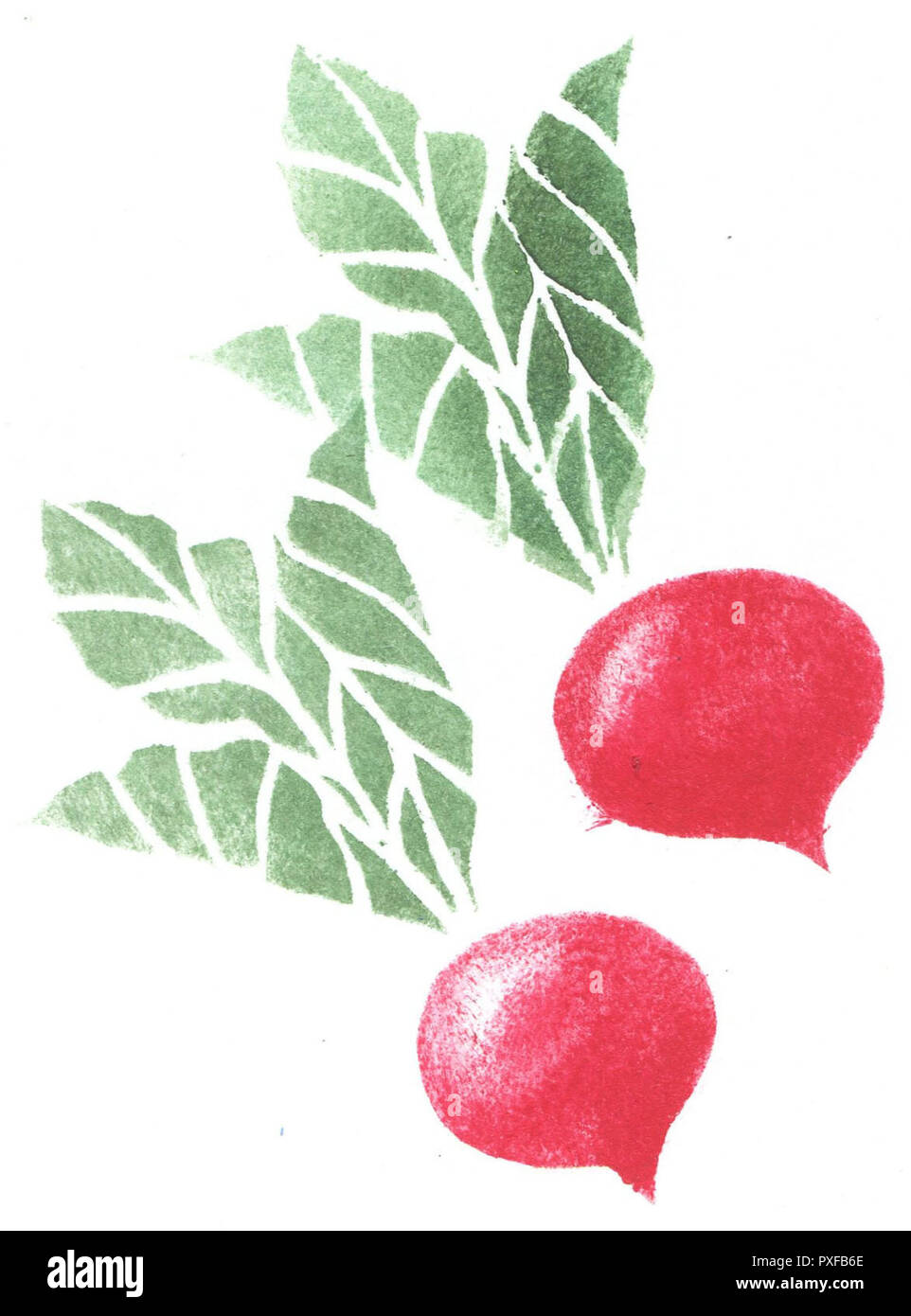 Red turnip Cut Out Stock Images & Pictures - Alamy