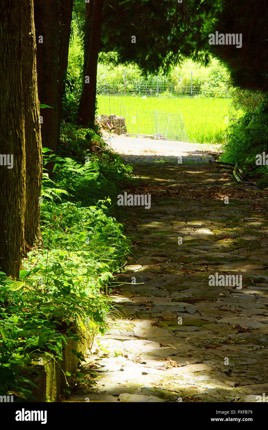 Paddy stone hi-res stock photography and images - Alamy