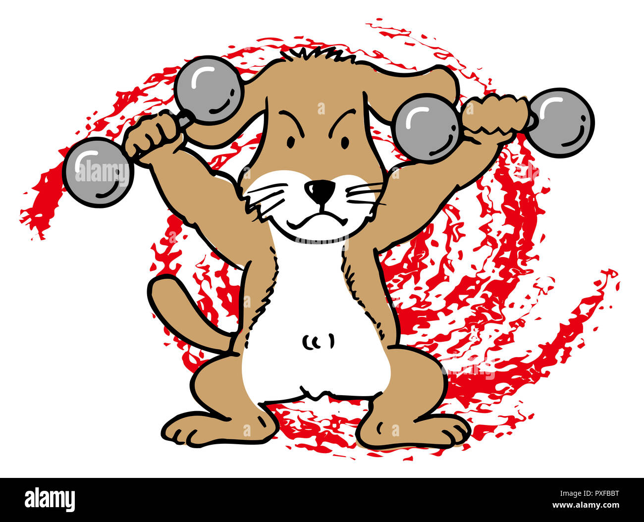 Dog with Dumbbell Stock Photo - Alamy