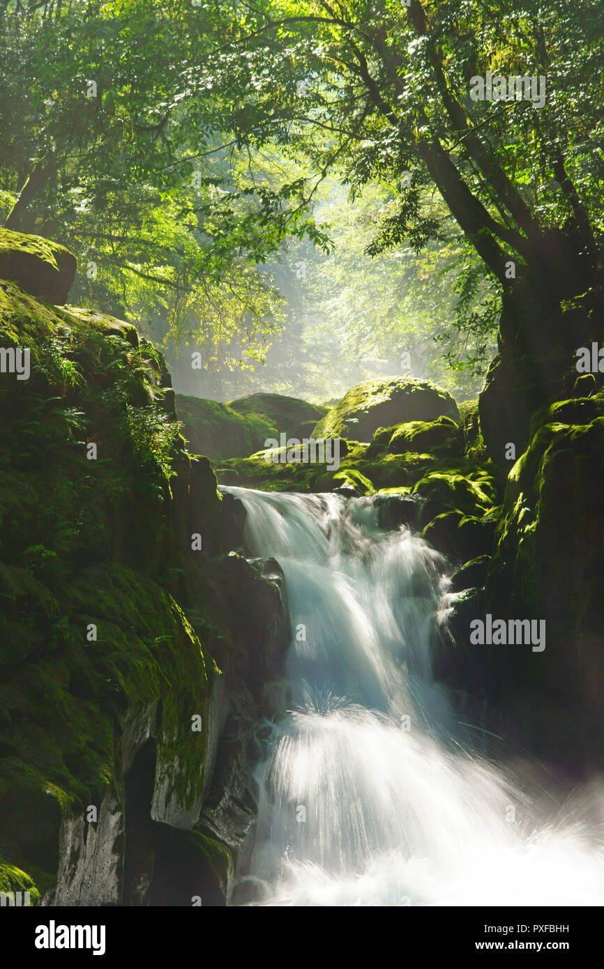 Reimei hi-res stock photography and images - Alamy