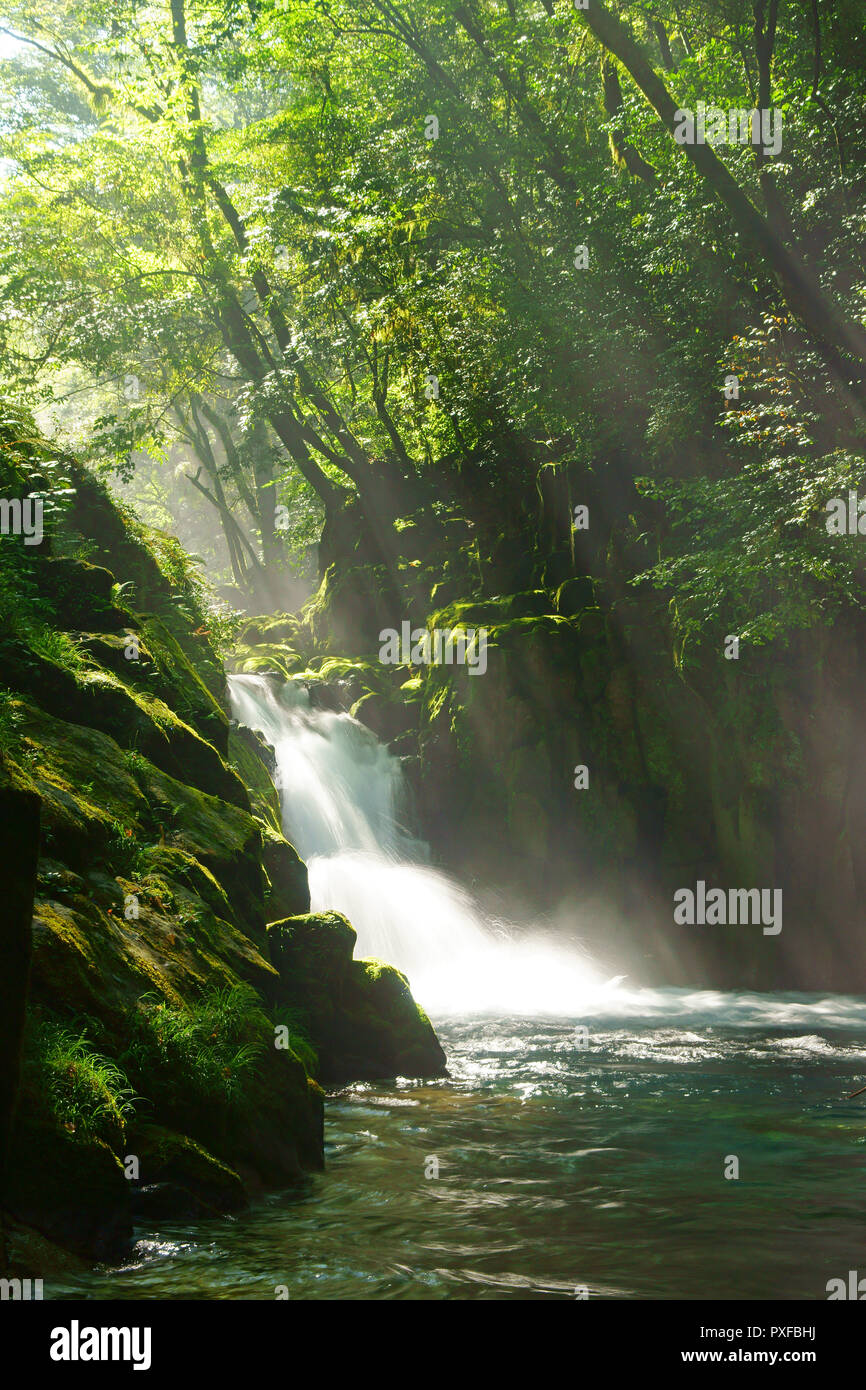 Reimei hi-res stock photography and images - Alamy