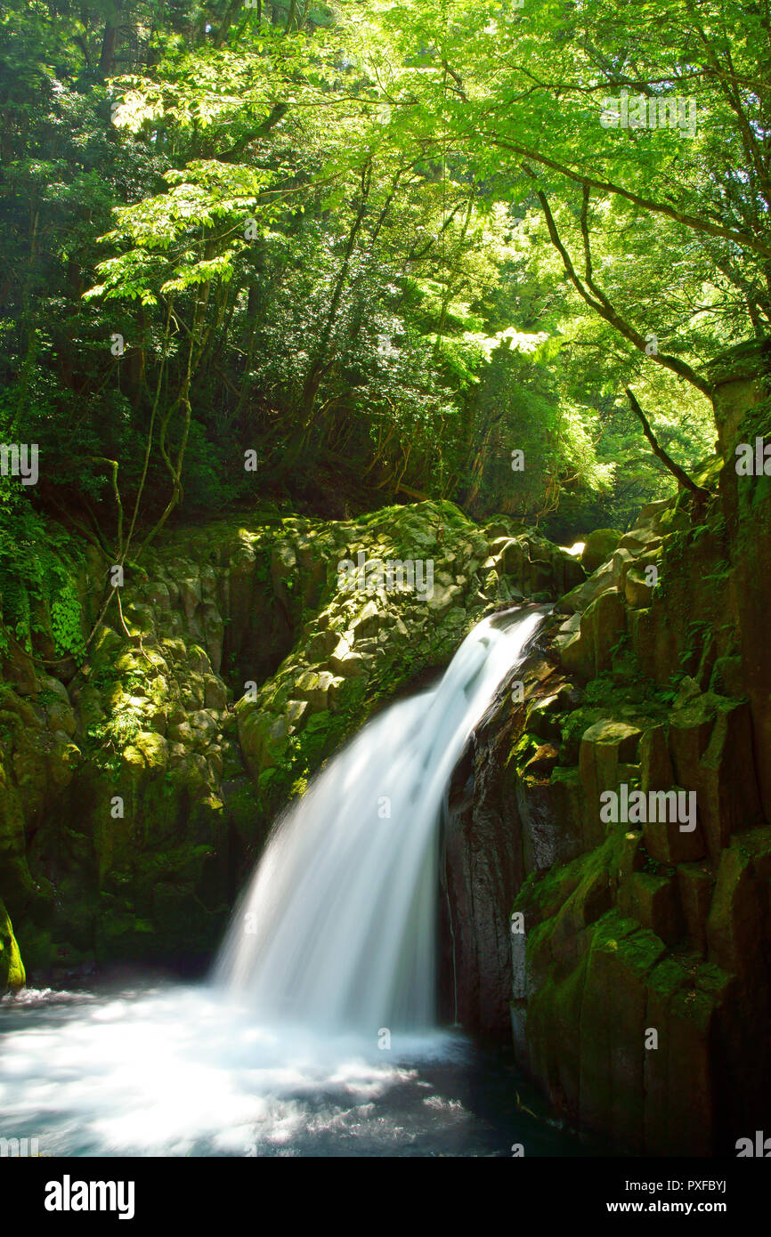 Kikuchi Gorge, Kumamoto Prefecture, Japan Stock Photo - Alamy