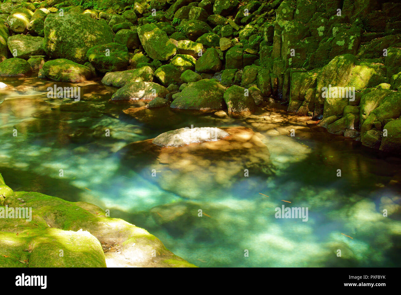 Kikuchi Gorge, Kumamoto Prefecture, Japan Stock Photo - Alamy