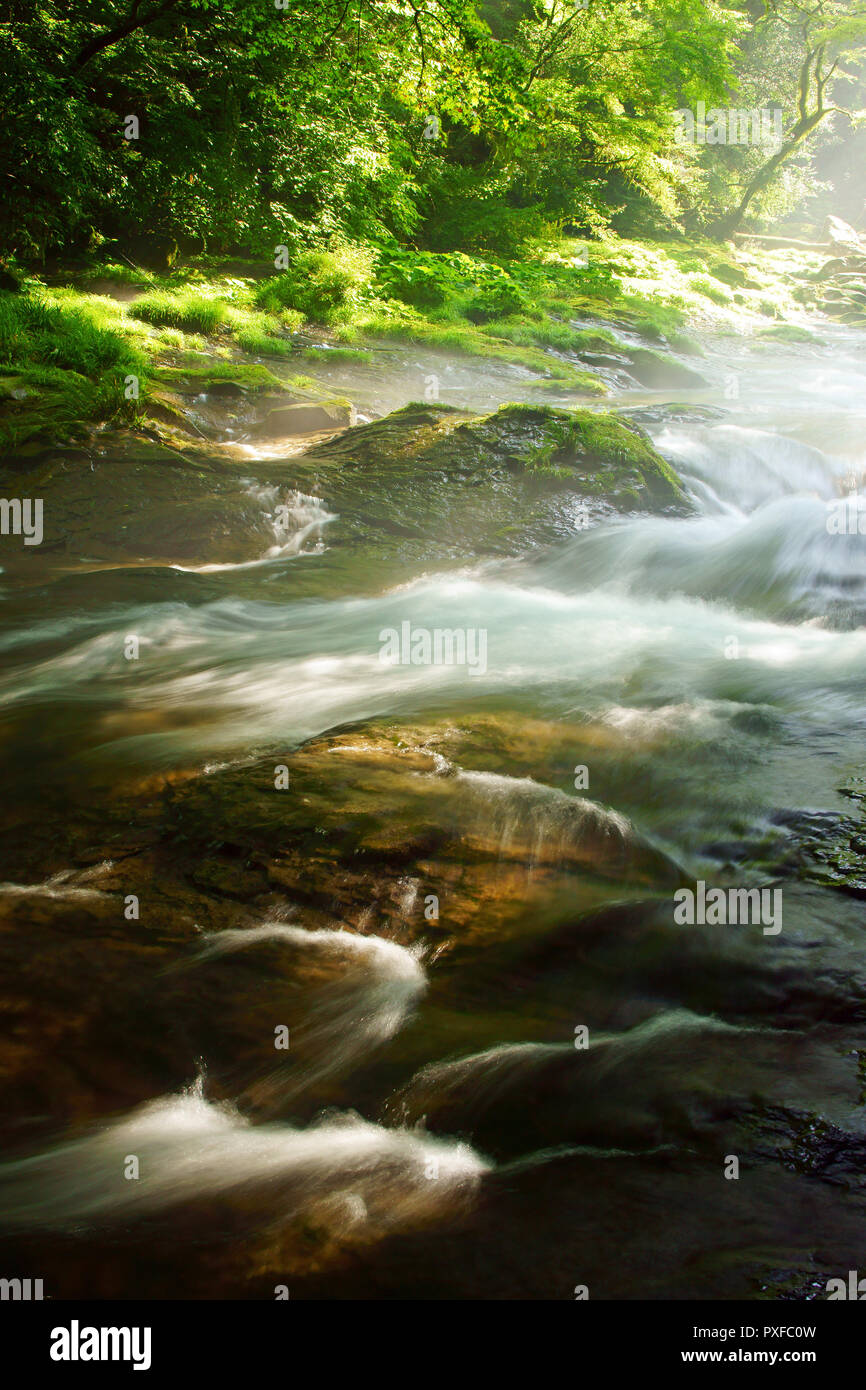Kikuchi Gorge, Kumamoto Prefecture, Japan Stock Photo - Alamy