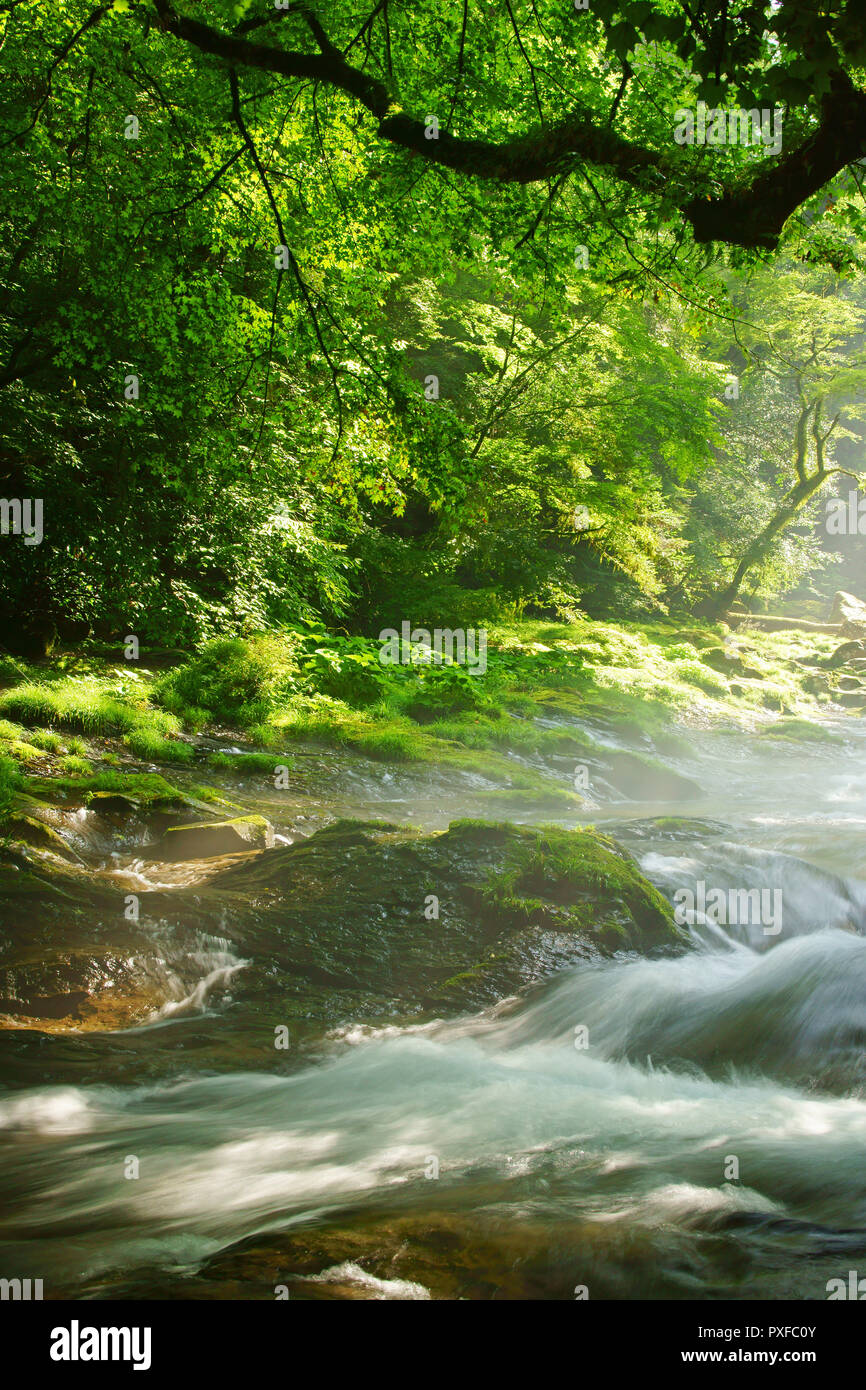 Kikuchi Gorge, Kumamoto Prefecture, Japan Stock Photo - Alamy