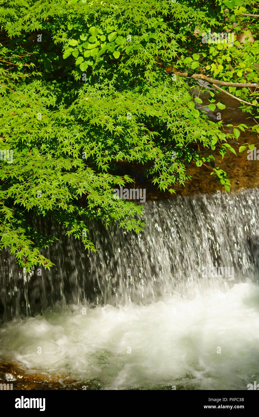 Kurokawa Onsen (Hot springs) , Kumamoto Prefecture, Japan Stock Photo ...
