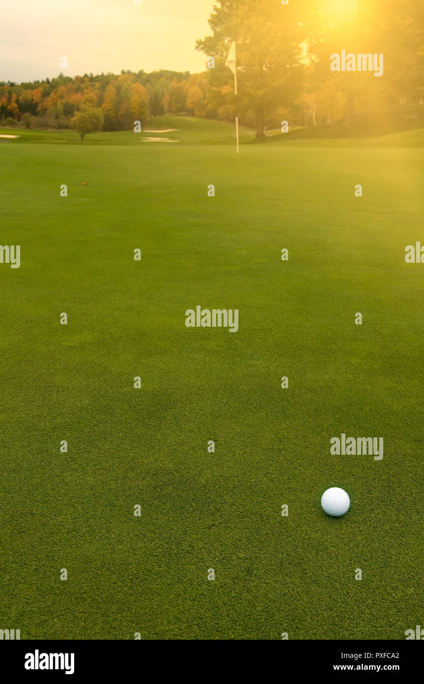 Golf ball on course vertical hi-res stock photography and images - Alamy