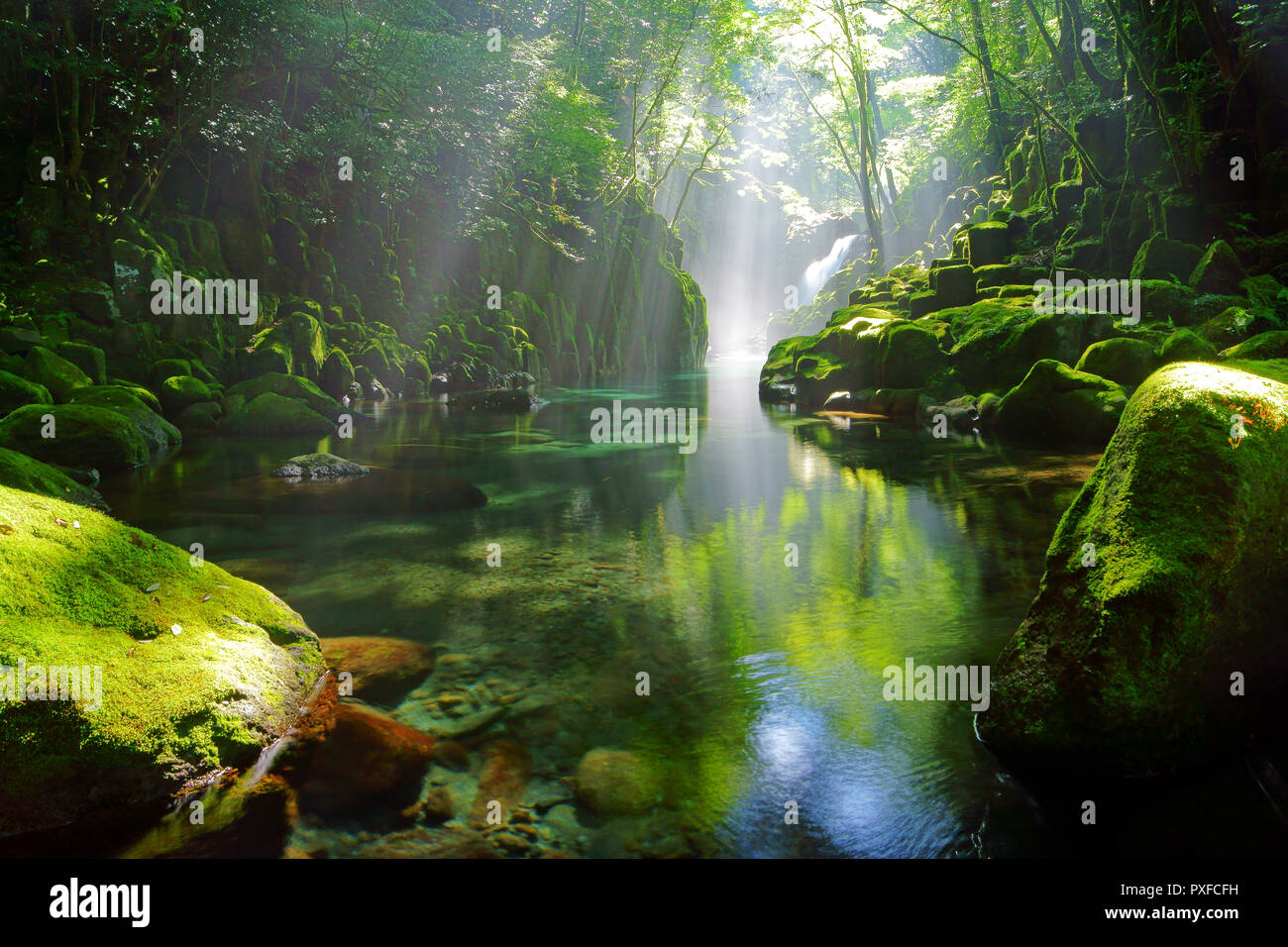 Kikuchi Gorge, Kumamoto Prefecture, Japan Stock Photo - Alamy