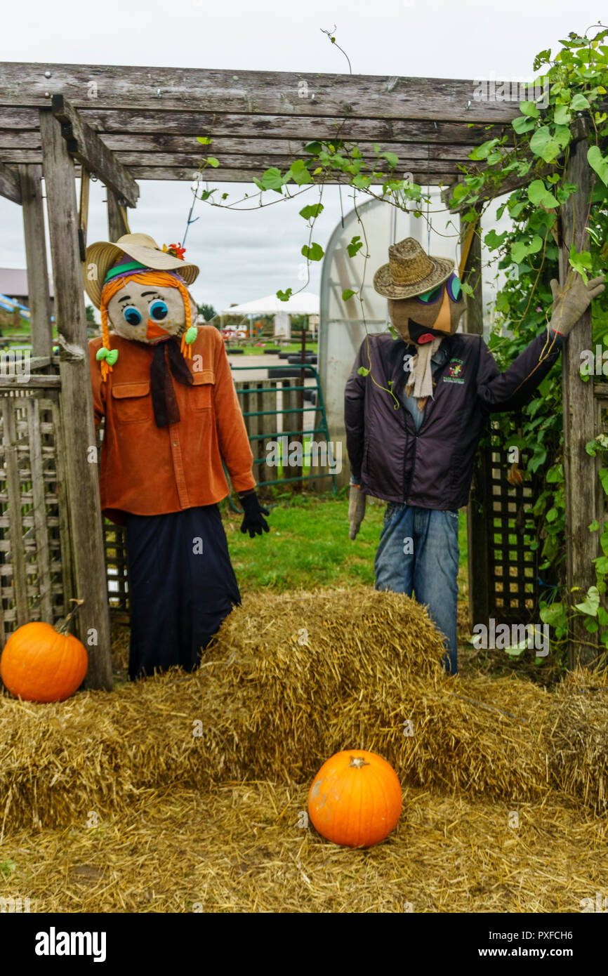 Two scarecrows hi-res stock photography and images - Alamy
