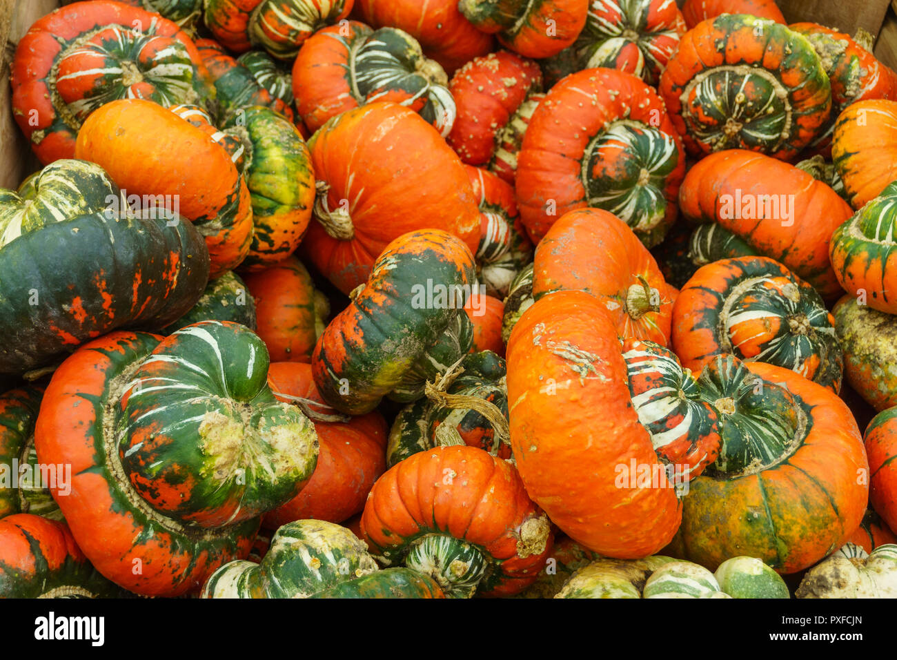 Patterned turban hi-res stock photography and images - Alamy