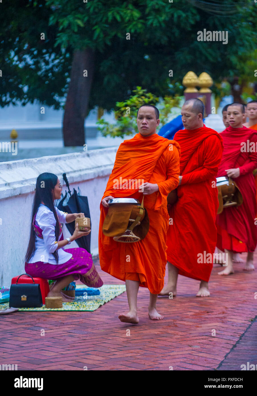 Buddhist alms giving ceremony in Luang Prabang Laos Stock Photo - Alamy