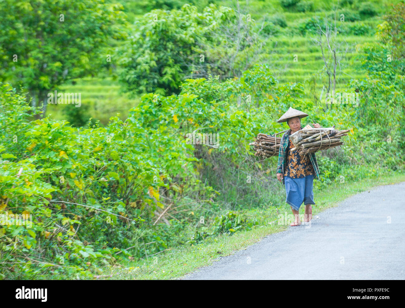 Lao farmer hi-res stock photography and images - Alamy