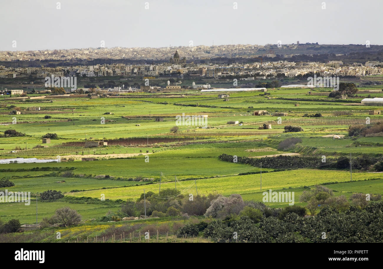Landscape near Rabat. Malta Stock Photo - Alamy