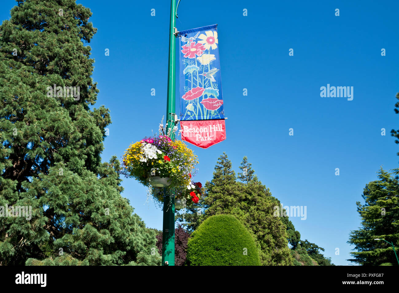 Beacon hill park hi-res stock photography and images - Alamy