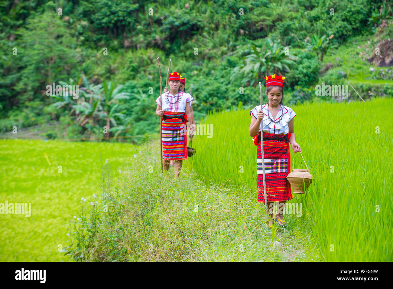 Ifugao indigenous people tribe tribal hi-res stock photography and ...