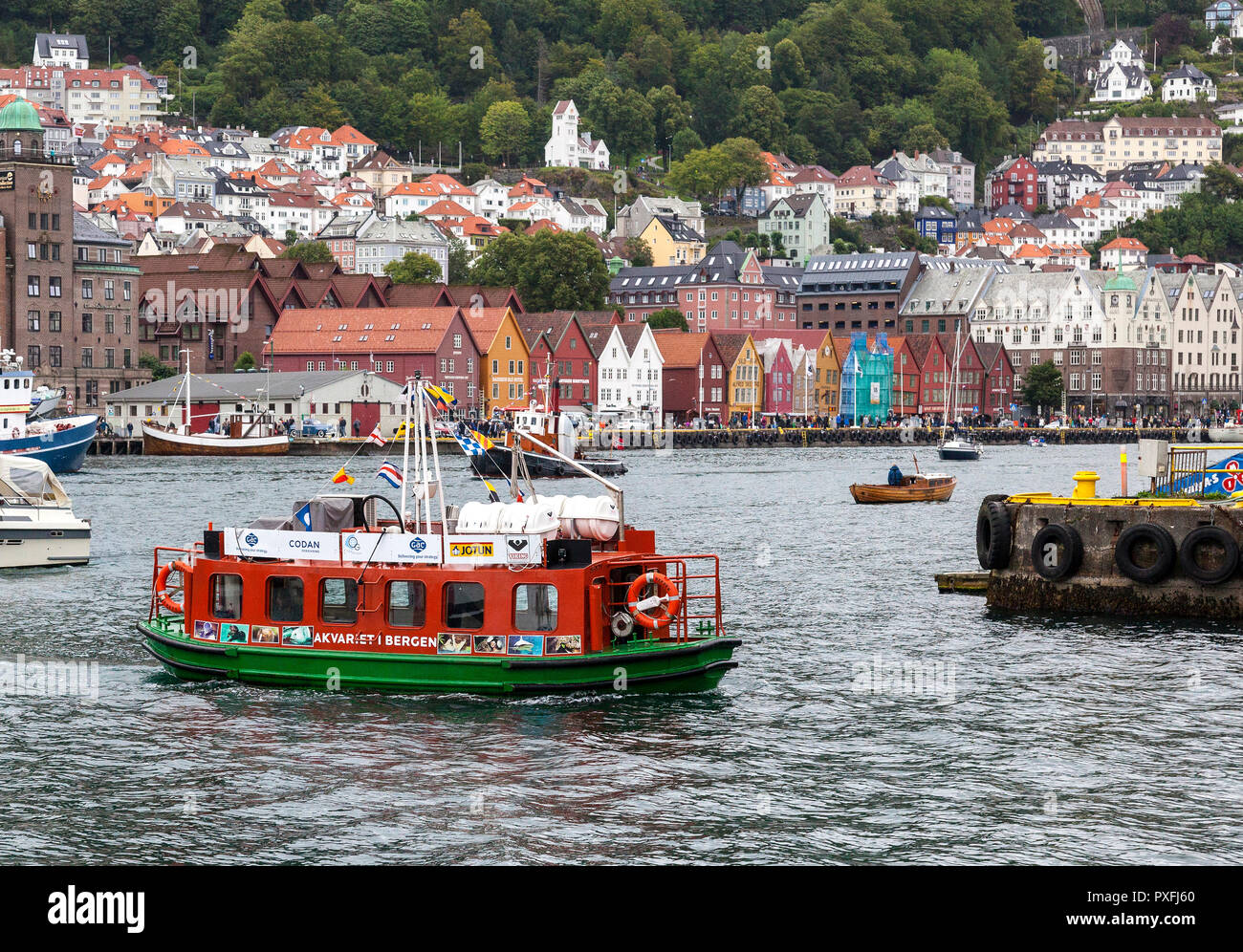 Tiny harbor ferry Beffen crossing Vågen Bay in the port of Bergen ...