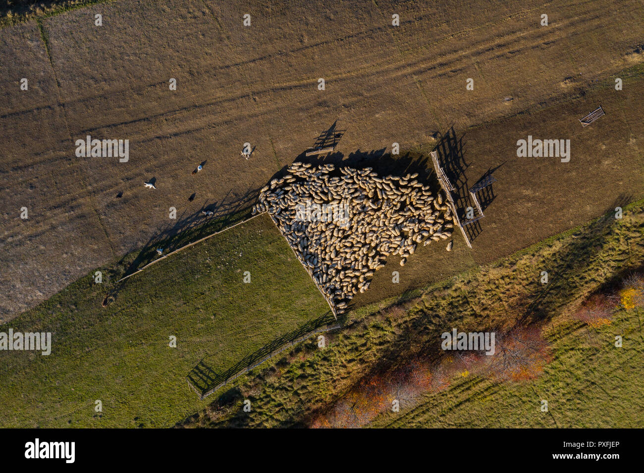 Drone gaze hi-res stock photography and images - Alamy