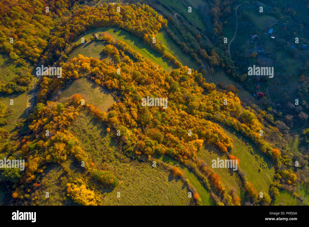 Aerial view of colorful autumn forest from a drone Stock Photo - Alamy