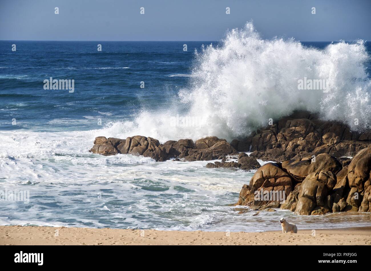 Ocean force with amazing colors Stock Photo - Alamy