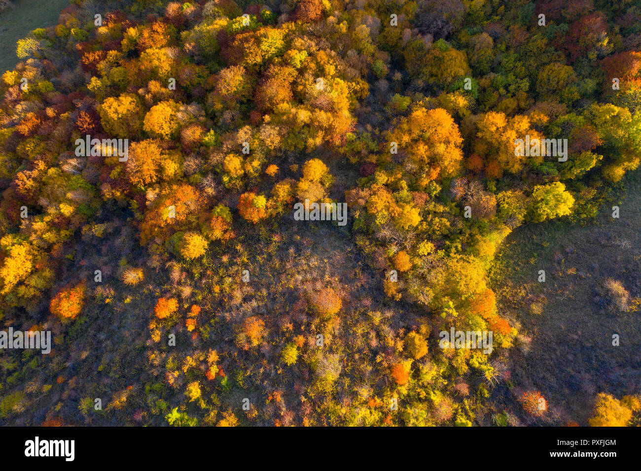 Flying above colorful autumn forest hi-res stock photography and images ...