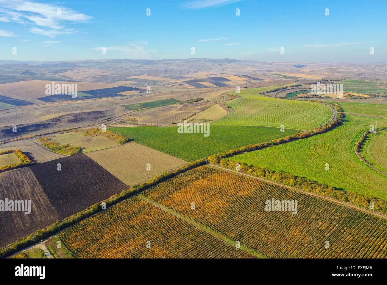 Aerial agricultural landscape. Plantation field ready for harvest ...